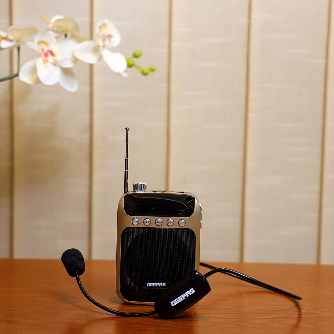 Order Geepas Rechargeable Mini Speaker - Amplifier with UHF Wireless ...