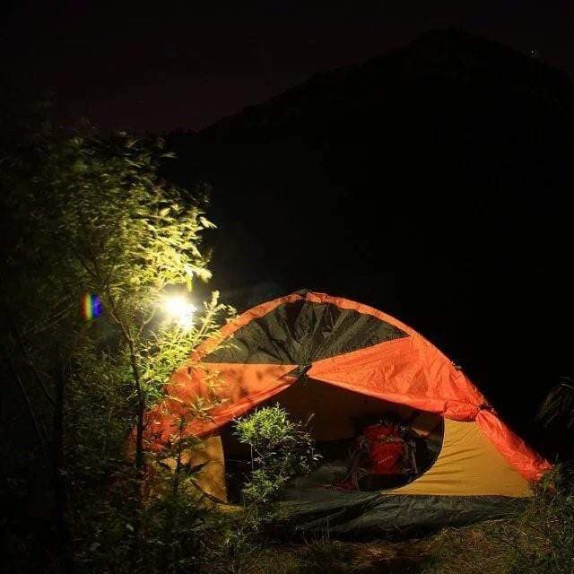 Order nextroch NEXTORCH UL360 Utility Pocket LED Torch Now! | Jomla.ae