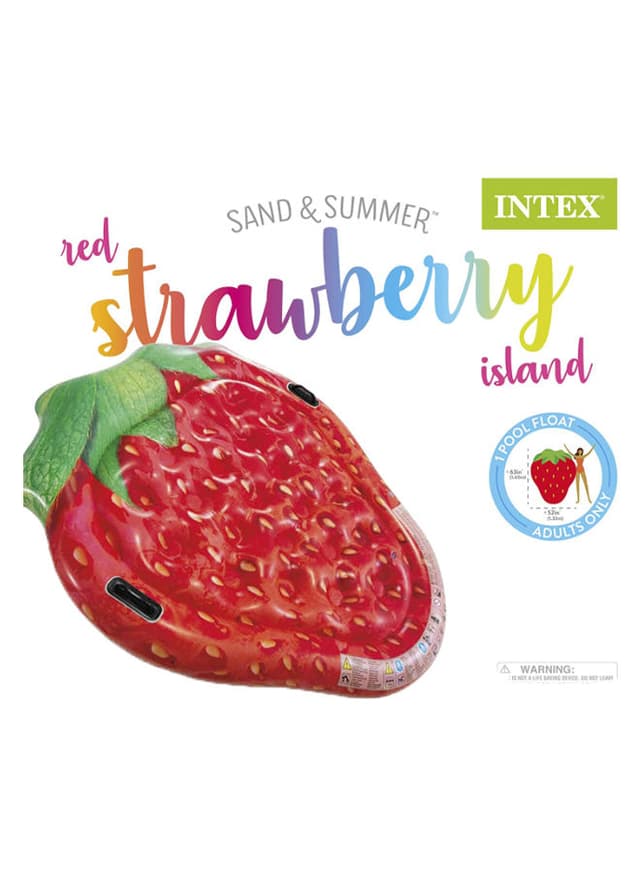Order INTEX Strawberry Design Inflatable Pool Float 58781EP 160 x 132cm ...