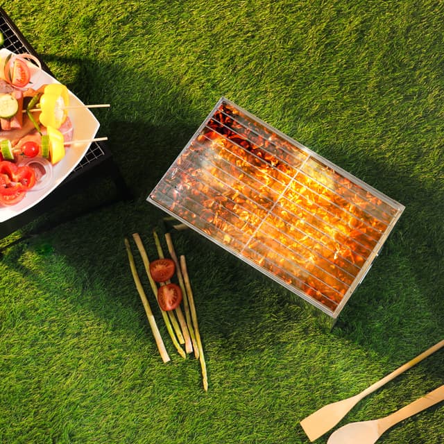 Royalford Barbeque Stand with Grill Durable Iron Construction, RF10365 ...