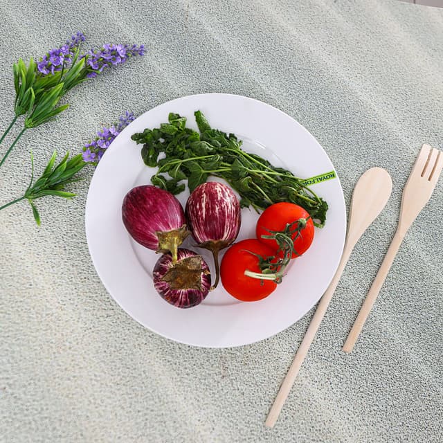 Royalford Porcelain Magnesia Flat Plate, 10.5 Inch | Jomla.ae