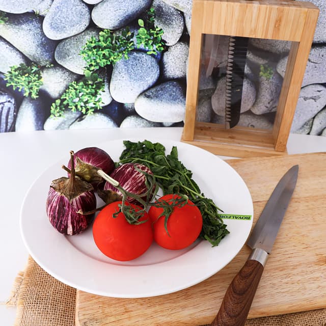 Royalford Porcelain Magnesia Flat Plate, 10.5 Inch | Jomla.ae