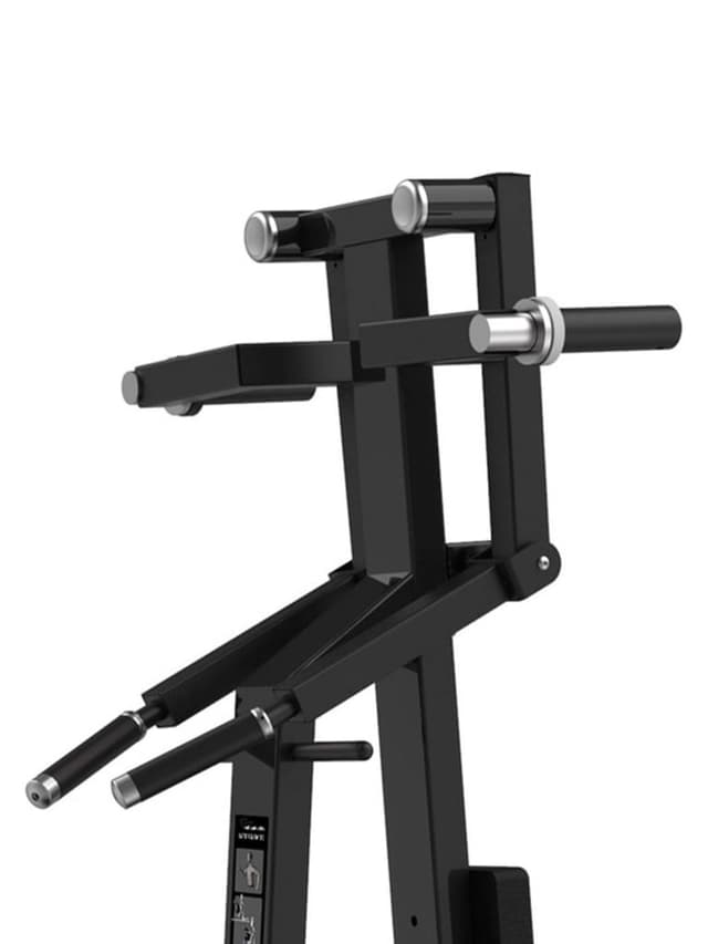 Order York Fitness Standing Lateral Raise HS-1050 | Matt Black Now! | Jomla.ae
