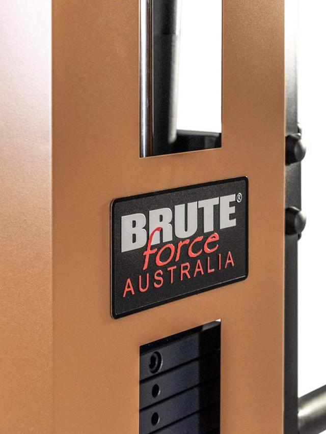 Order BruteForce 360PTX Functional Trainer Now! | Jomla.ae