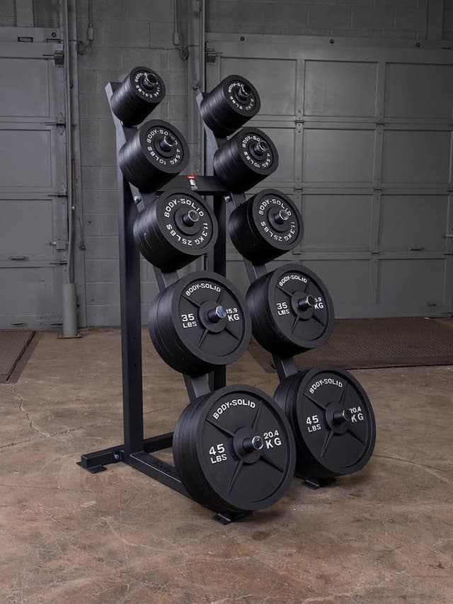 Body Solid GWT76 High Capacity Plate Storage Rack | Jomla.ae