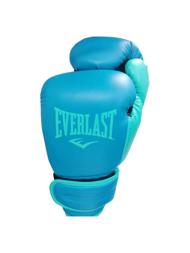 Order Everlast Powerlock 2 Training Gloves Color BlueSize 12 Oz Now ...
