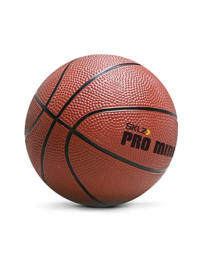 Order Sklz Pro Mini Hoop Ball Now! | Jomla.ae