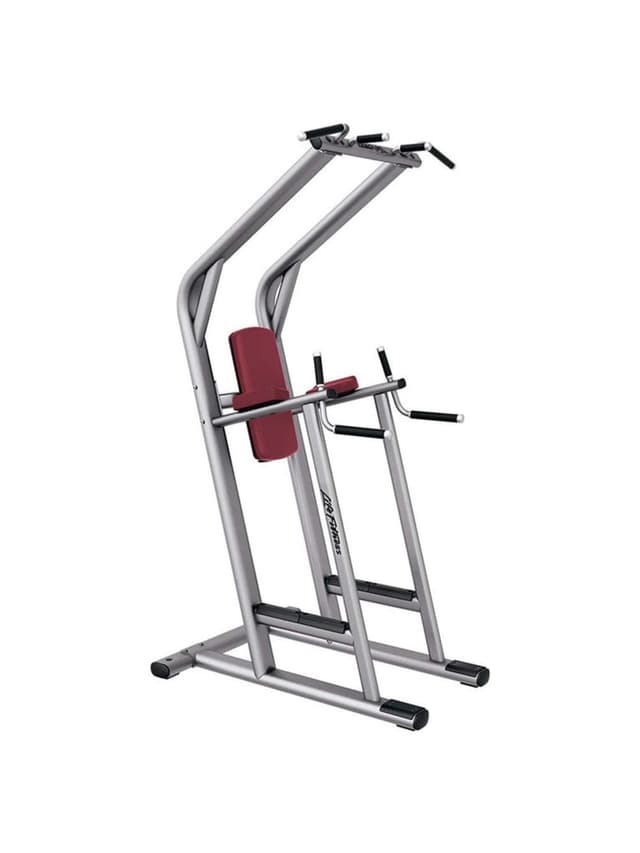 Life Fitness Signature Chin Dip Leg Raise | Platinum - Cranberry | Jomla.ae