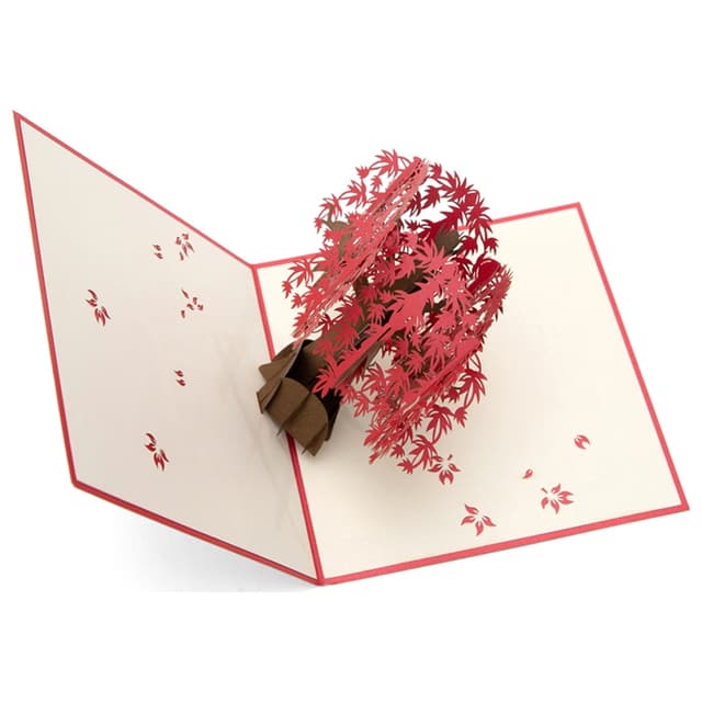 Abra Cards - Maple Tree | Jomla.ae