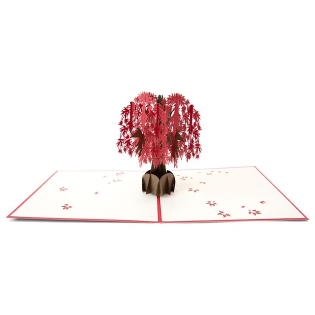 Abra Cards - Maple Tree | Jomla.ae