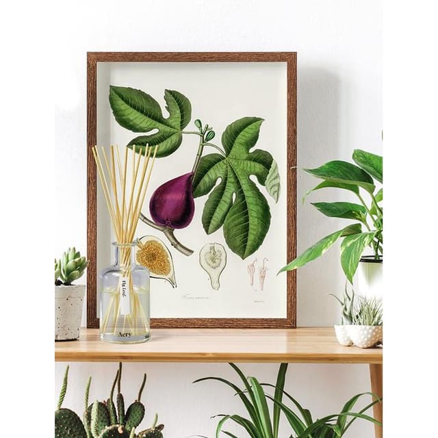 Order Aery - Fig Leaf 200ml Diffuser Now! | Jomla.ae
