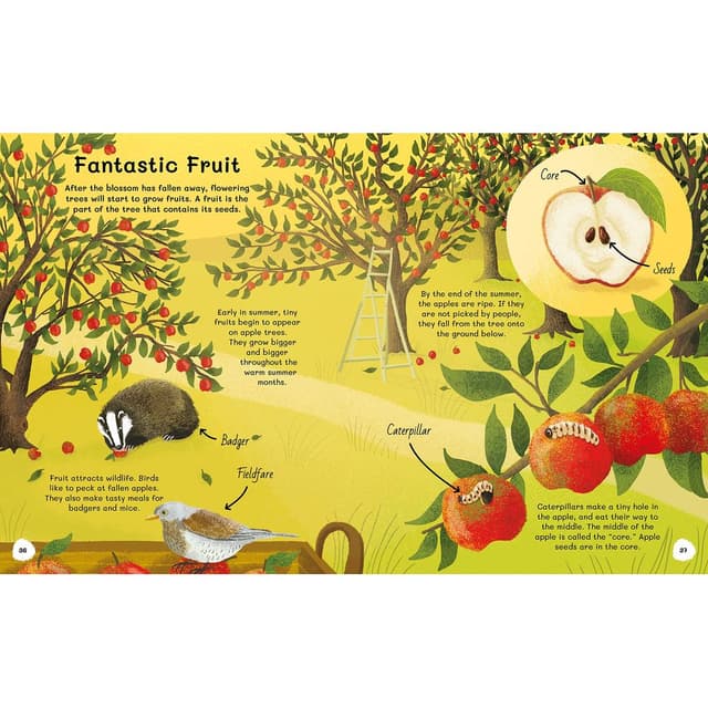 Order All About Trees - Book Now! | Jomla.ae