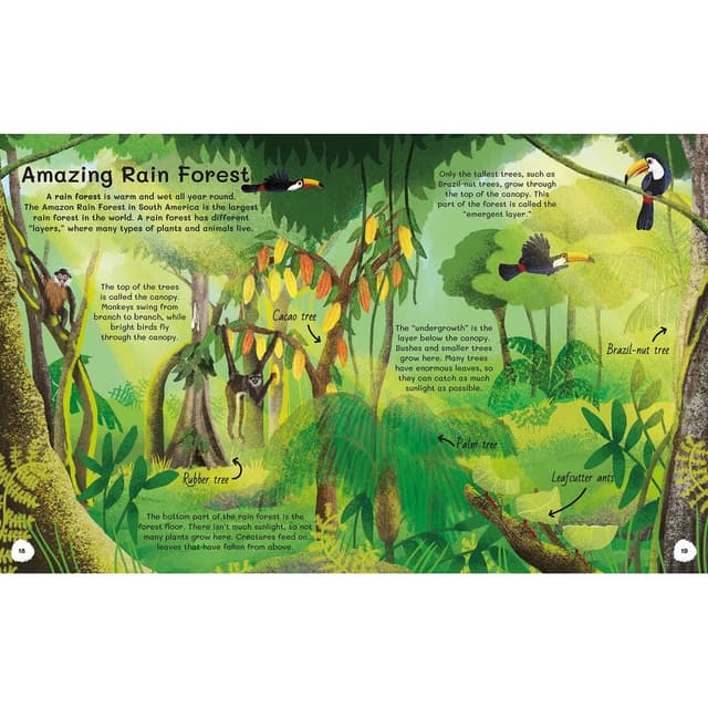 Order All About Trees Now! | Jomla.ae