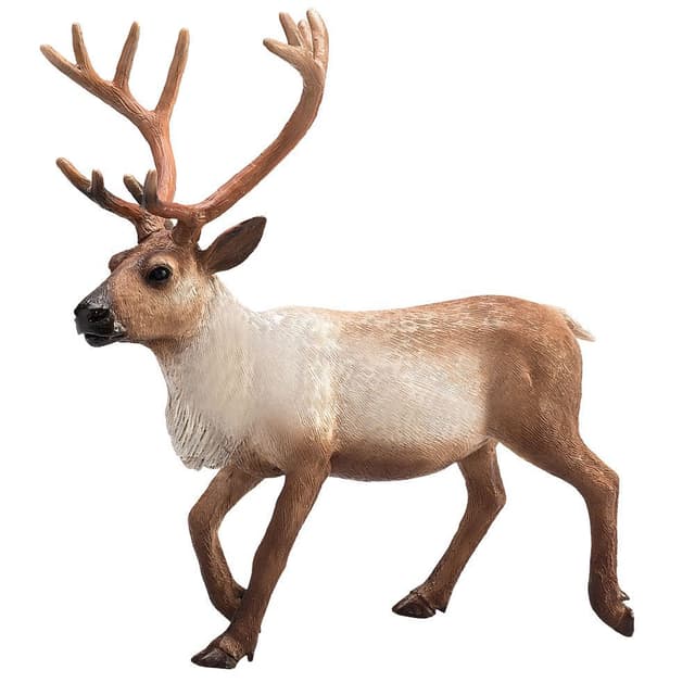 Order Animal Planet - Mojo Reindeer Now! | Jomla.ae