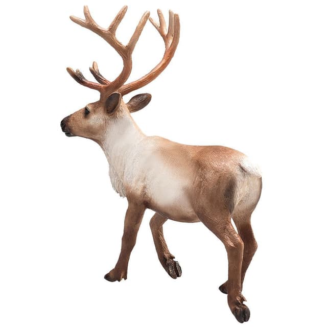 Order Animal Planet - Mojo Reindeer Now! | Jomla.ae