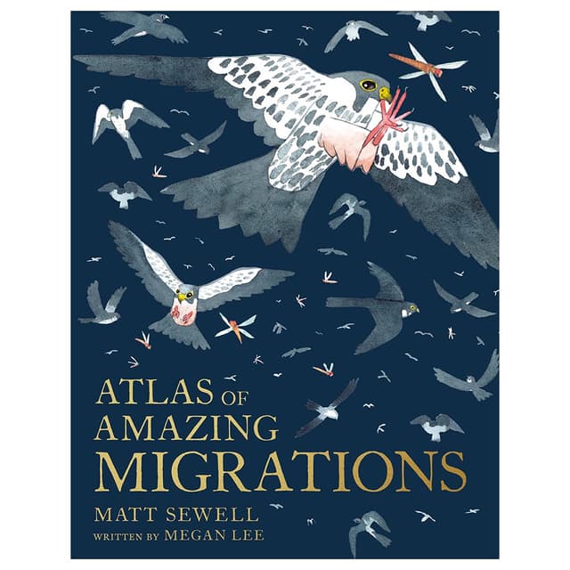 Order Atlas Of Amazing Migration Now! | Jomla.ae