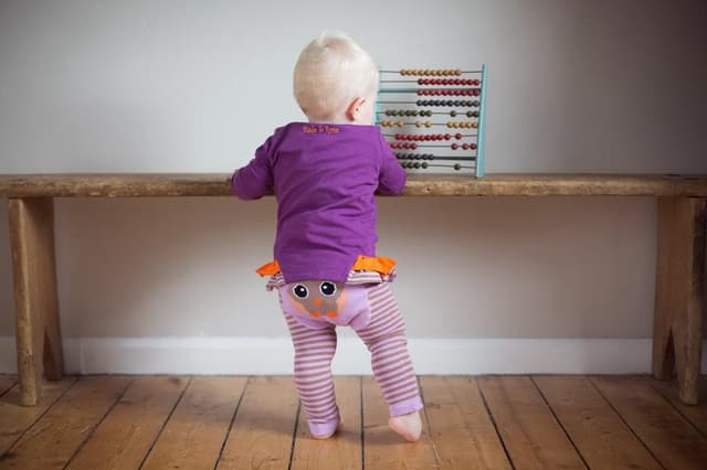 Order Blade & Rose Owl Now! | Jomla.ae