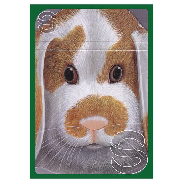 Bobo the Bunny - Animal Faces | Jomla.ae