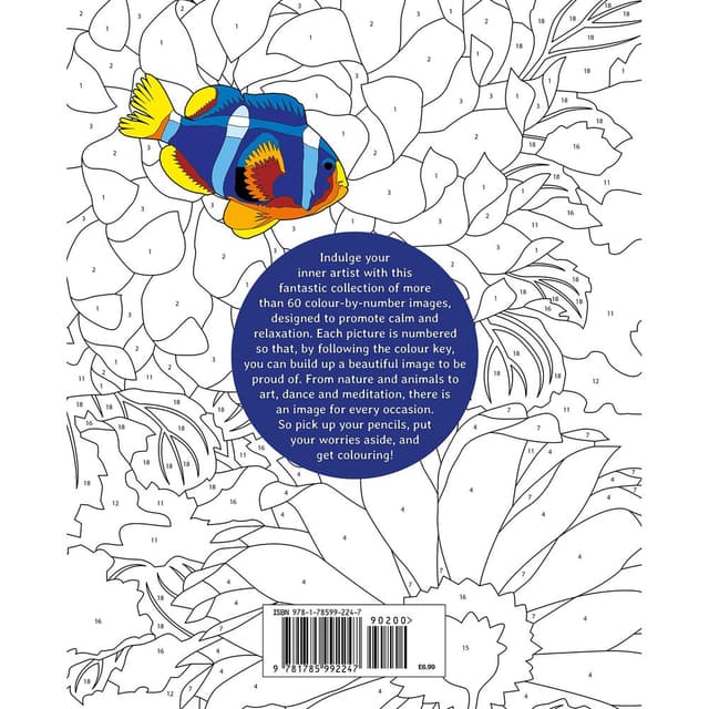 Order Calm Colour by Numbers - Book Now! | Jomla.ae