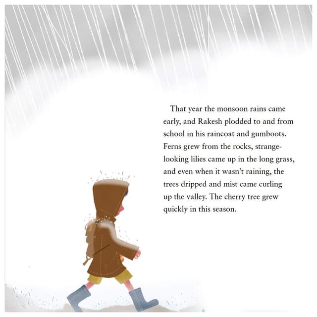 Order Cherry Tree - Book Now! | Jomla.ae