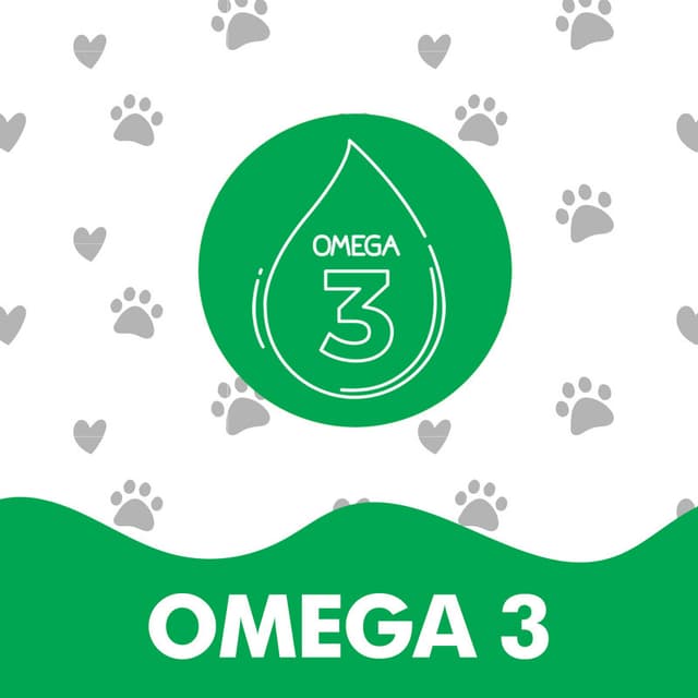 Order Dr. Pet - Omega 3 Dog Shampoo - 400 Ml Now! | Jomla.ae