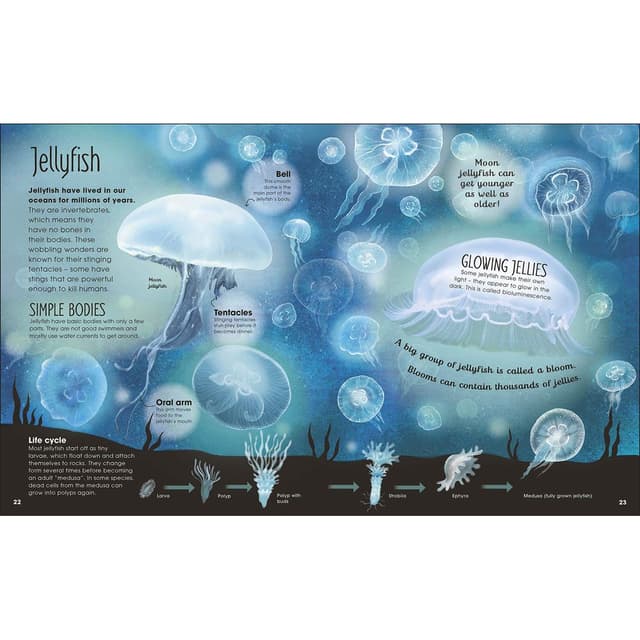 Order Earth's Incredible Oceans - Book Now! | Jomla.ae