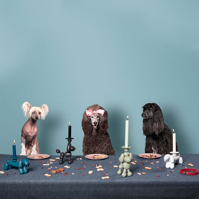 Fatboy - Can-Dolly - White | Jomla.ae