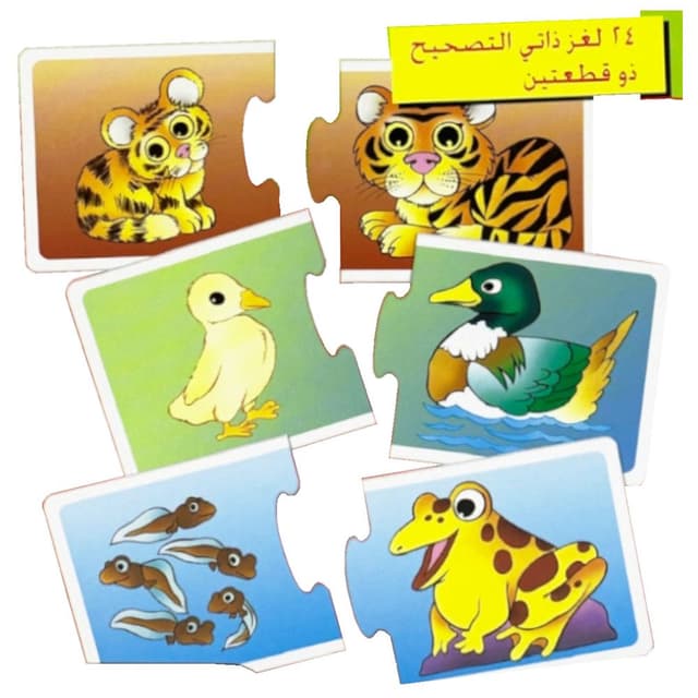 Frank - Animal Babies Arabic Puzzle | Jomla.ae