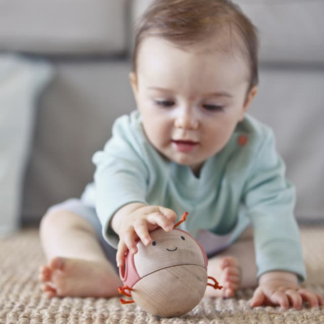 Order Hape - Busy Bug Roll Now! | Jomla.ae