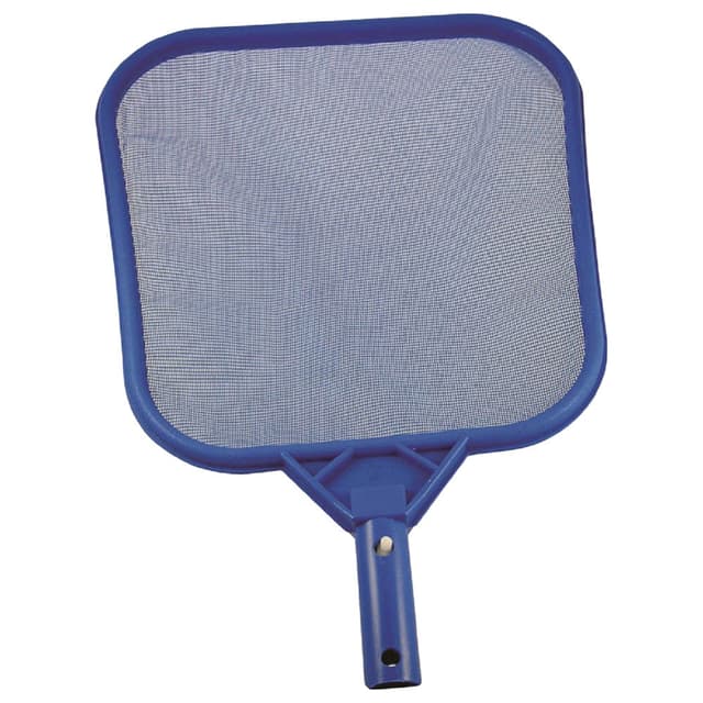 Order Jed - Skimmer Head - Blue Now! | Jomla.ae