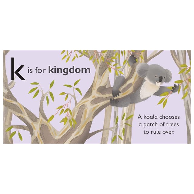 Order K Is For Koala - Book Now! | Jomla.ae
