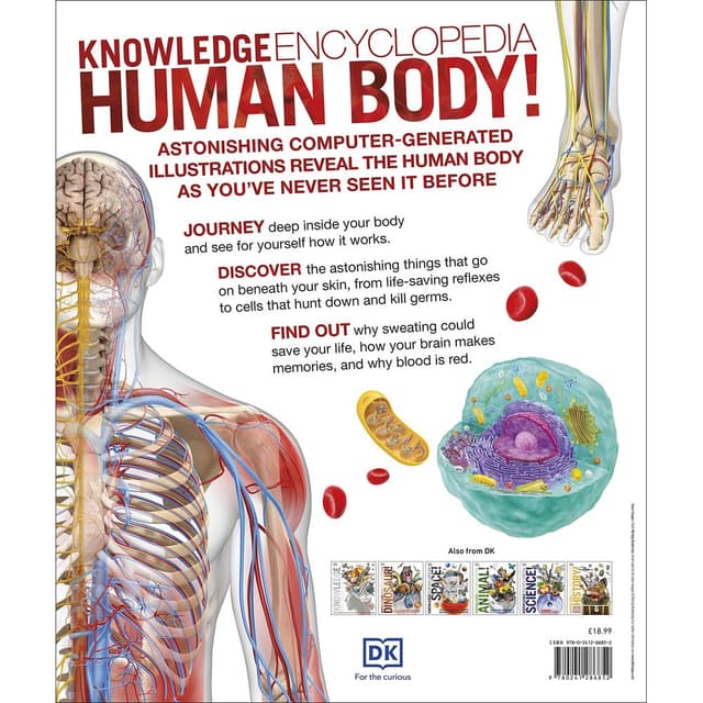Order Knowledge Encyclopedia Human Body - Book Now! | Jomla.ae