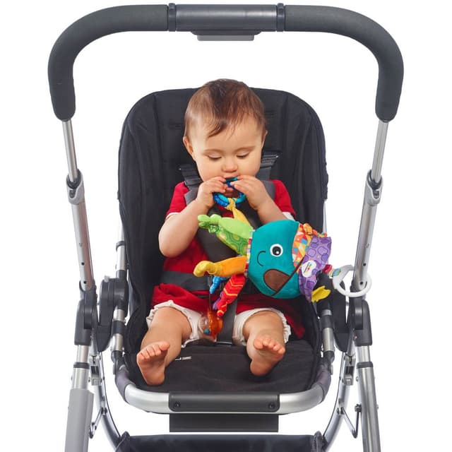 Order Lamaze - Captain Calamari Clip On Now! | Jomla.ae