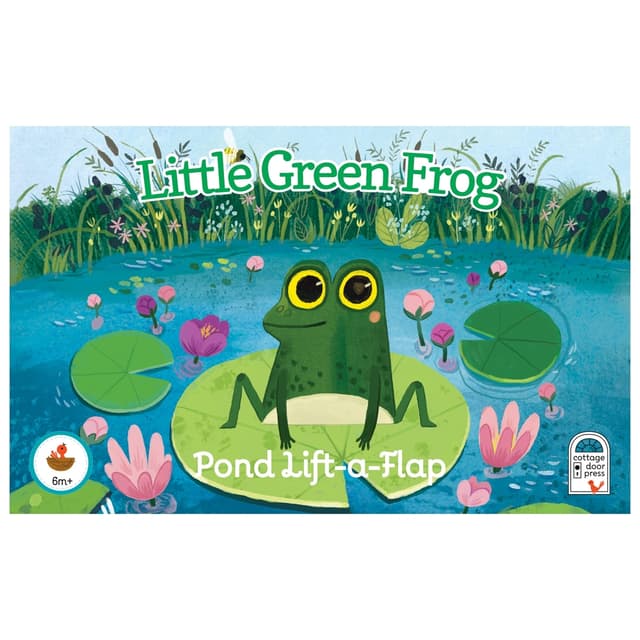 Order Little Green Frog - Book Now! | Jomla.ae