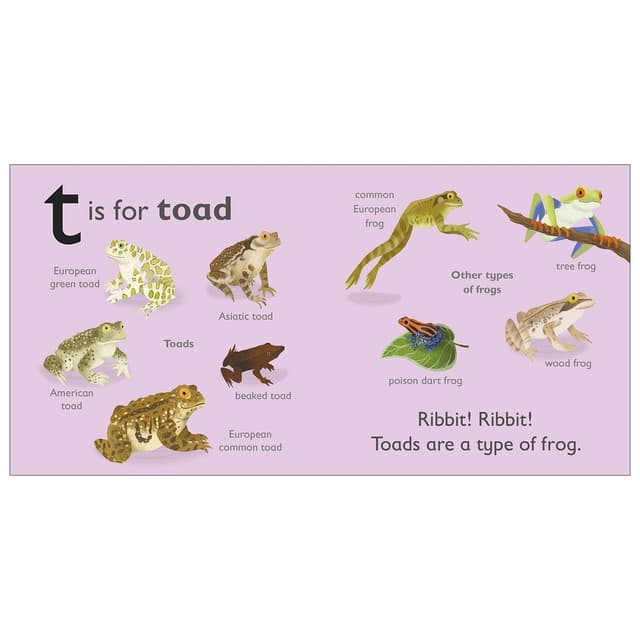 Order T Is For Toad - Book Now! | Jomla.ae