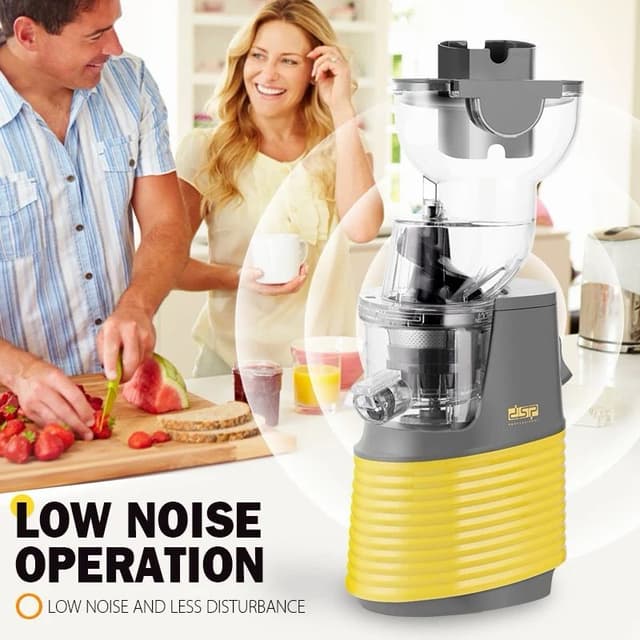 Order Dsp Professionals Whole Fruit Compact Juicer 250W Now! | Jomla.ae