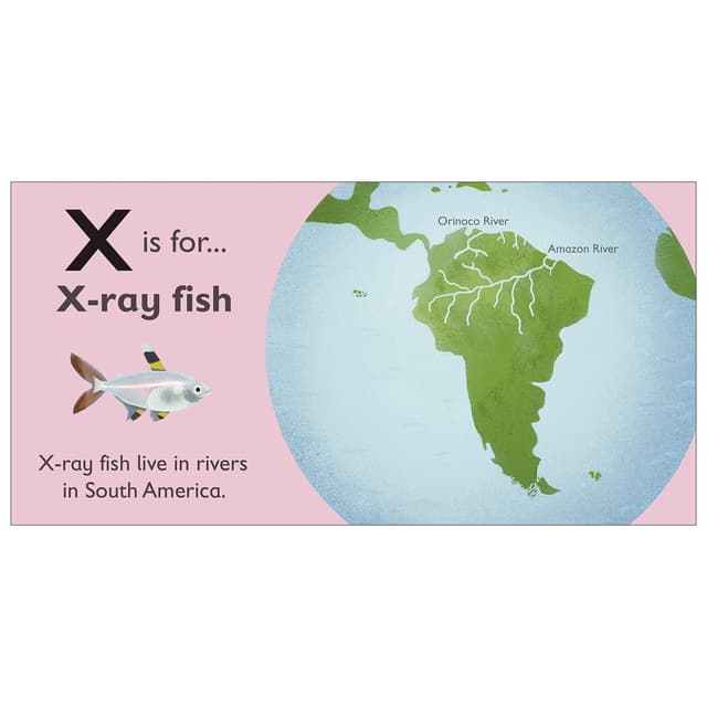 Order X Is For X-Ray Fish - Book Now! | Jomla.ae