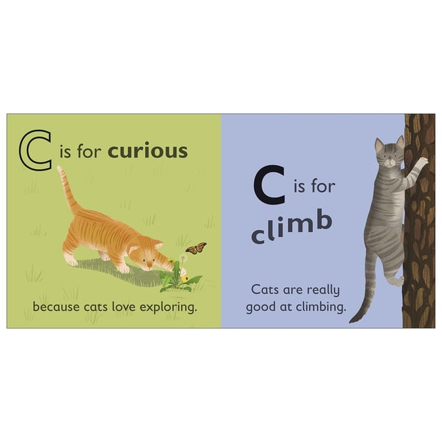 Order C Is For Cat - Book Now! | Jomla.ae