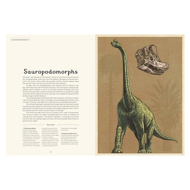 Order Dinosaurium - Book Now! | Jomla.ae