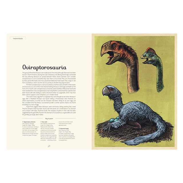 Order Dinosaurium - Book Now! | Jomla.ae