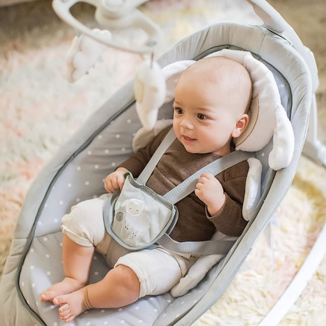 Order Ingenuity - Rocking Seat - Cuddle Lamb Now! | Jomla.ae
